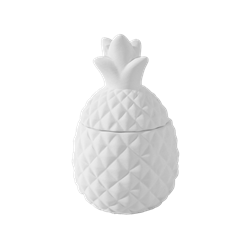 Pineapple Box – The Clayroom